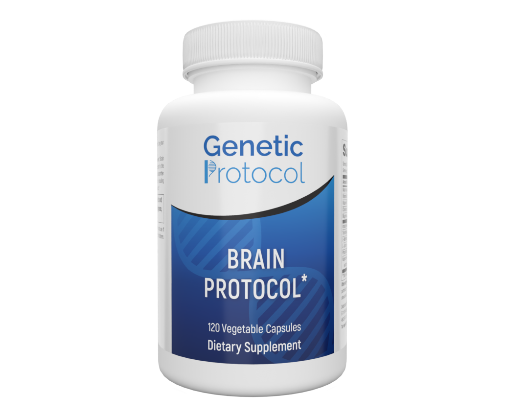 Brain Protocol